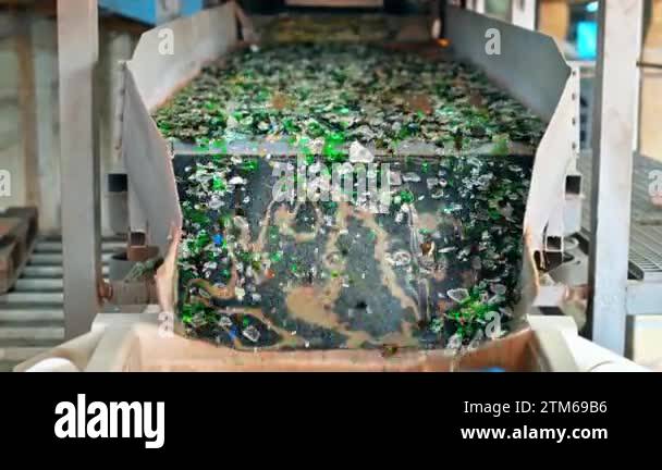 Process of sorting glass garbage on a vibrating conveyor belt at waste ...