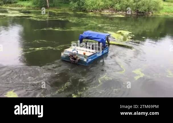 Algae removal Stock Videos & Footage - HD and 4K Video Clips - Alamy