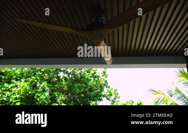 Ceiling fan on wooden roof electric ceiling fan rotating slowly and air ...