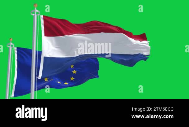 The flags of the Netherlands and the European Union waving in the wind ...