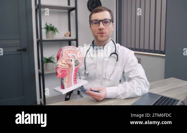 Otolaryngologist consultation. ENT doctor using throat anatomical model ...