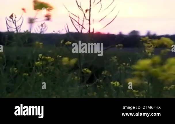 Retro VHS footage, Scan from vintage VHS-C Betacam. Retro camera 8 mm ...