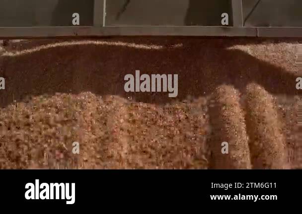 Grain sales Stock Videos & Footage - HD and 4K Video Clips - Alamy