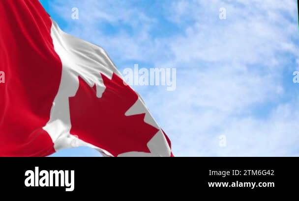 Canada national flag waving on a clear day. White square in center and ...
