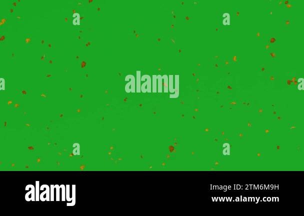 3D animation forest tree leaves green screen falling the wind ultra ...