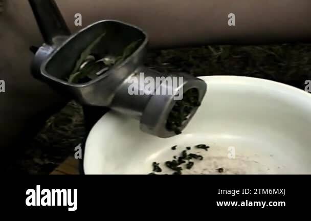 Vintage film making Stock Videos & Footage - HD and 4K Video Clips - Alamy
