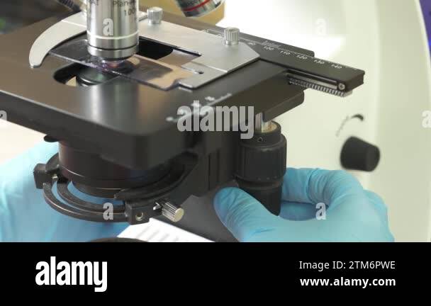 Medical laboratory, scientists hands using microscope for testing ...