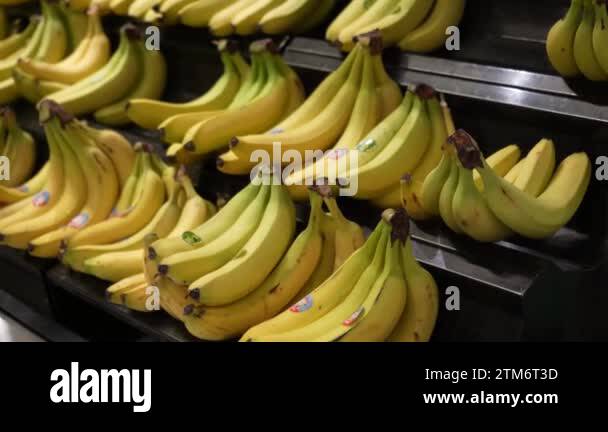Ripe yellow bananas on the rack of an agricultural store. Collection ...