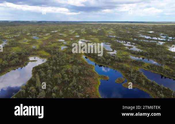 Beautiful marshland Stock Videos & Footage - HD and 4K Video Clips - Alamy