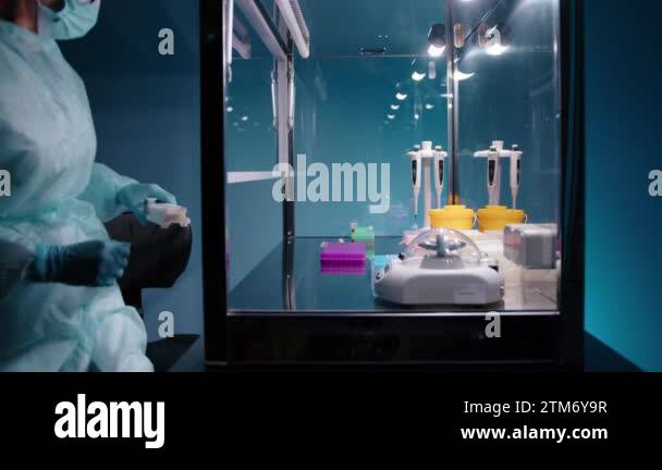 Veterinarian walking up to and sitting down infront of a PCR cabinet ...