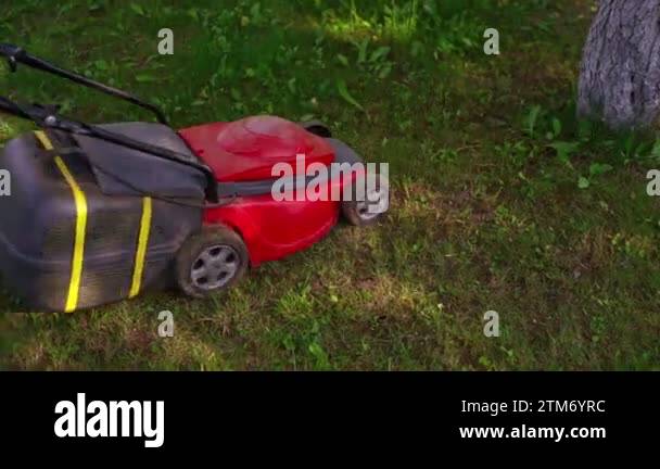 Lawn mower cutting grass. Gardening process of mowing grass. Mower ...