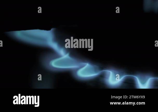 Ignited gas on a burner close-up. Burning blue flame of gas on a ...