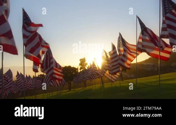 Waving United states of America flags memorial for National celebration ...