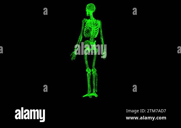 3D skeleton rotates on black bg. Object dissolved green flickering ...