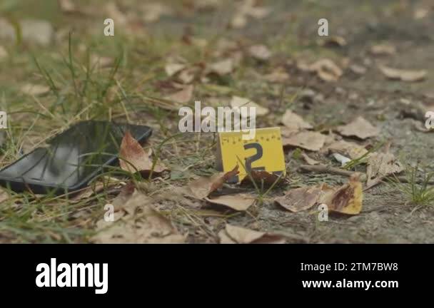 Closeup evidence marker forensic Stock Videos & Footage - HD and 4K ...
