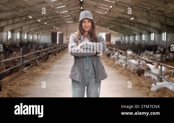 Industrious animals Stock Videos & Footage - HD and 4K Video Clips - Alamy