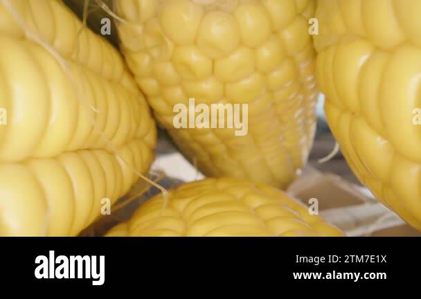 Stack organic sweet corn Stock Videos & Footage - HD and 4K Video Clips ...