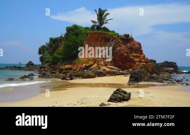 Ocean parrot Stock Videos & Footage - HD and 4K Video Clips - Alamy