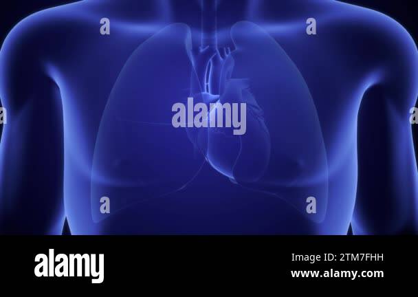 Congenital heart conditions Stock Videos & Footage - HD and 4K Video ...