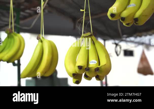 Bananas hanging on a street stall in an Asian market Stock Video ...