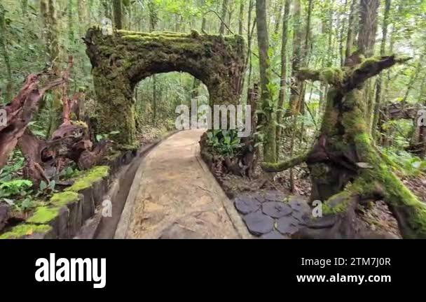 Botanical garden gate Stock Videos & Footage - HD and 4K Video Clips ...