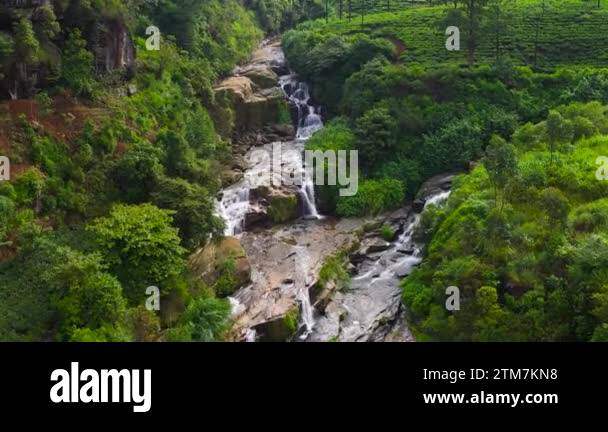 Beautiful waterfall and tea estate in Sri Lanka. Ramboda Falls Stock ...