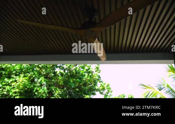 Ceiling fan on wooden roof electric ceiling fan rotating slowly and air ...