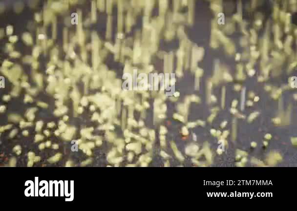Stream of Falling Yellow Grains of Millet Groats on a Black Surface in ...