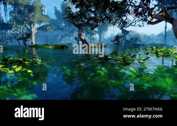 Rainforest Swamps. Movement on a fantastic forest with unusual plants ...