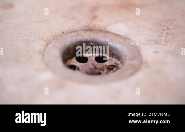 Dirty bathroom drain close-up. Plaque and dirt on the drain, smooth ...