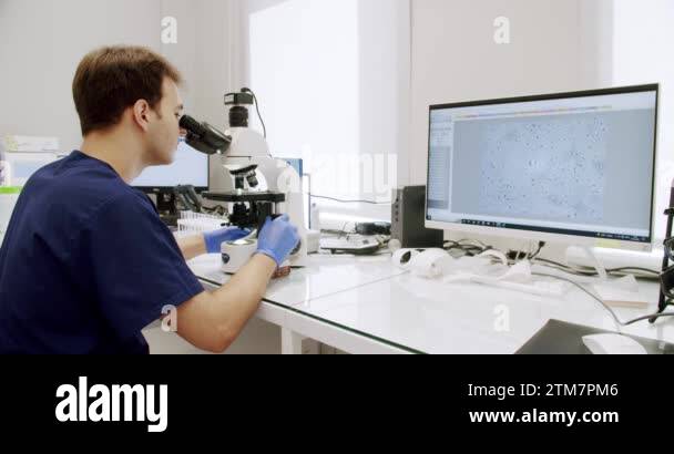 Scientist in sperm laboratory. Lab worker is regulating a microscope ...