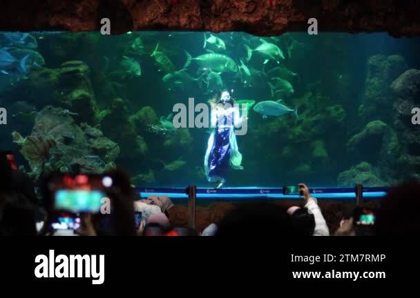 Jakarta, January 28, 2023: Stunning aquatic ballet by ocean princess at ...