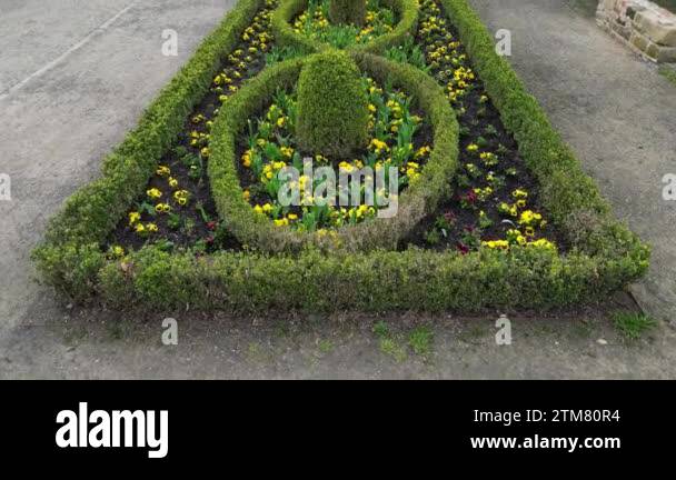 Boxwood balls garden Stock Videos & Footage - HD and 4K Video Clips - Alamy