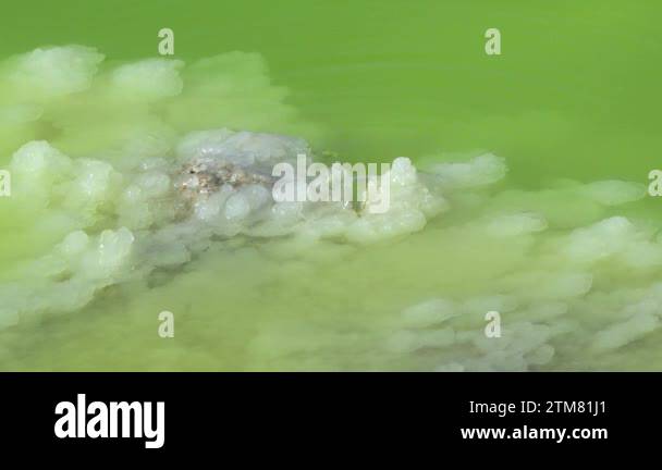 Dallol Sulfur springs and pools. The Sulphur springs create the ...