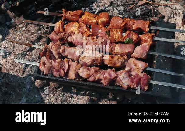 Cooking kebab on skewer. Meat on grill. Picnic and barbeque time ...