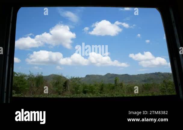 Train forest asia Stock Videos & Footage - HD and 4K Video Clips - Alamy