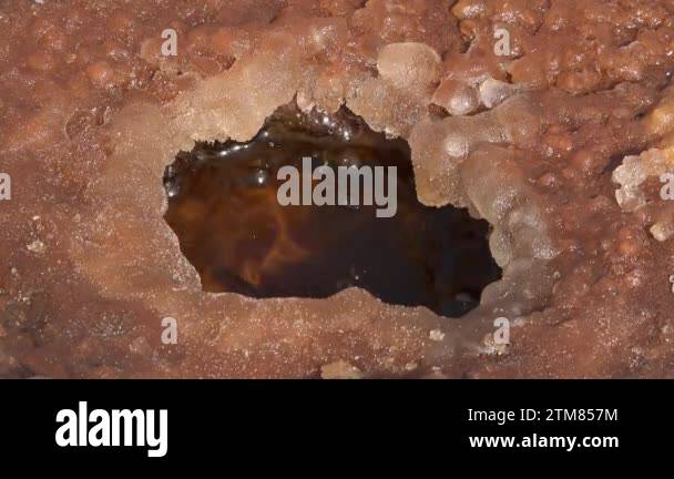 Dallol Sulfur springs and pools. The Sulphur springs create the ...