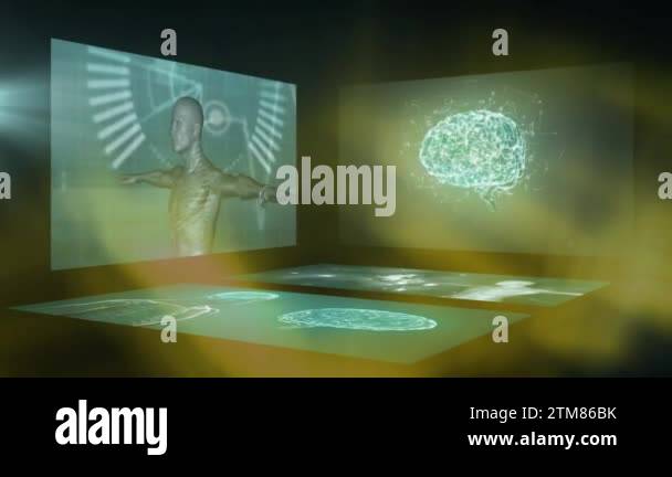 Animation of human body and skeleton, digital brains and heart rhythm ...