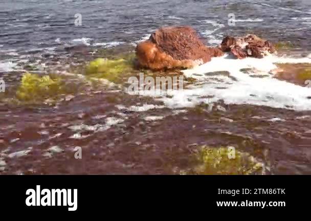 Dallol Sulfur springs and pools. The Sulphur springs create the ...