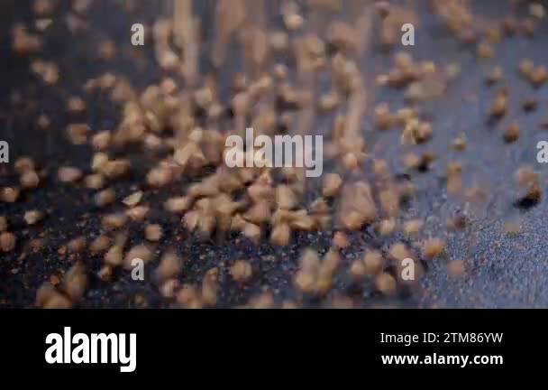 Grains of Buckwheat Fall on a Black Background in Slow Motion. Close up ...