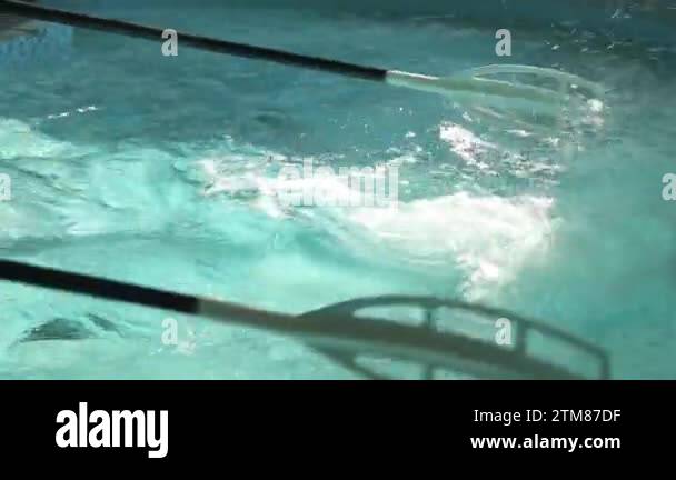 Indoor rowing team Stock Videos & Footage - HD and 4K Video Clips - Alamy