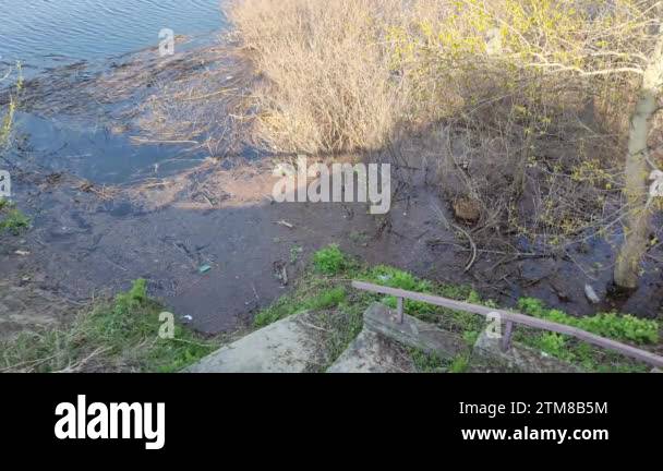 ecological problems. polluted water. flood. Ukraine. ecological ...