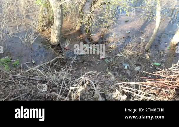 ecological problems. polluted water. flood. Ukraine. ecological ...