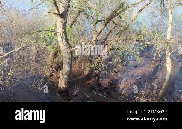 ecological problems. polluted water. flood. Ukraine. ecological ...