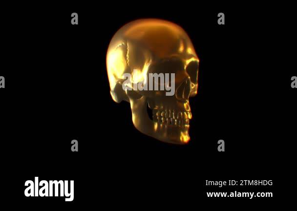 Rotating human skull Stock Videos & Footage - HD and 4K Video Clips - Alamy