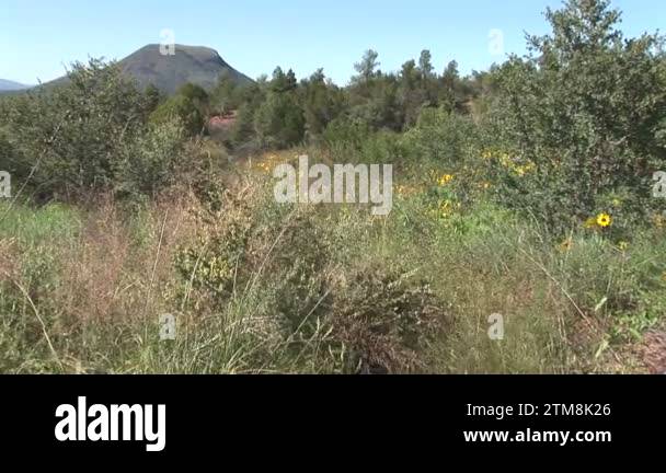 Apache arizona reservation Stock Videos & Footage - HD and 4K Video ...