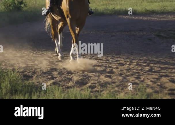Horses hooves running Stock Videos & Footage - HD and 4K Video Clips ...