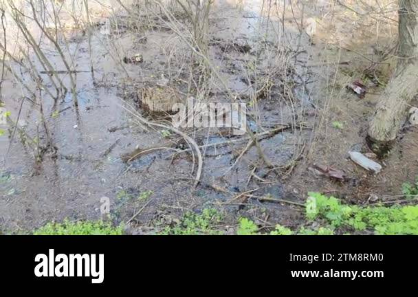 ecological problems. polluted water. flood. Ukraine. ecological ...