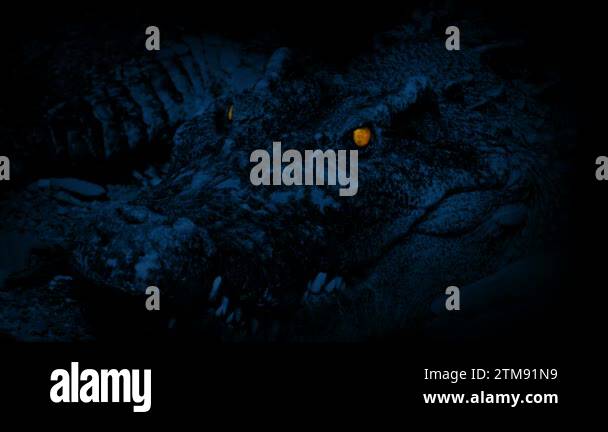Crocodile demon Stock Videos & Footage - HD and 4K Video Clips - Alamy