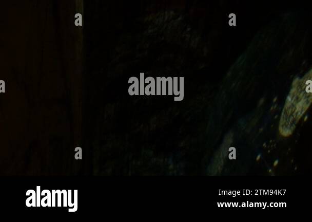 Santas grotto house christmas Stock Videos & Footage - HD and 4K Video ...